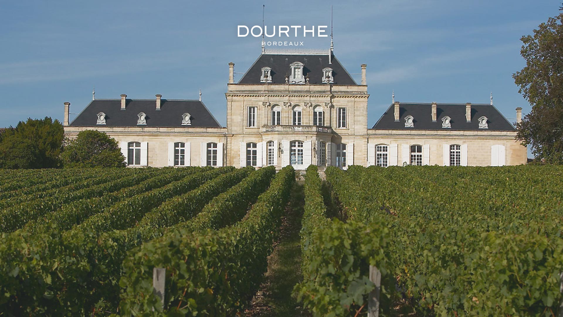 Rượu Vang Pháp Promesse De Dourthe - WineMap